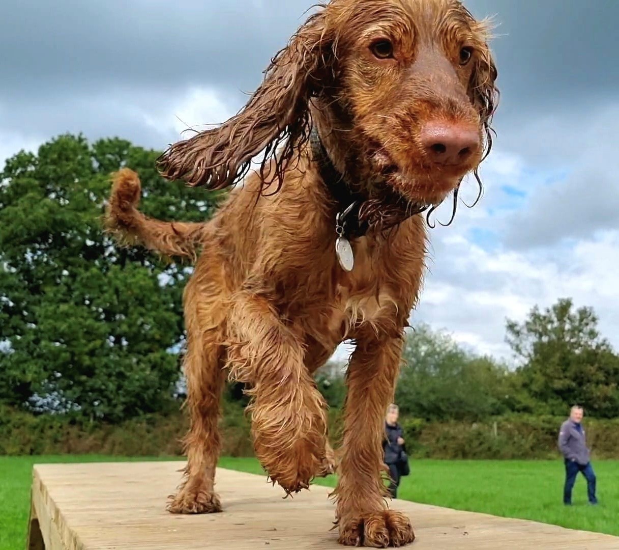 Amy Haddock-Sherwin | Ecology | Tyler Grange